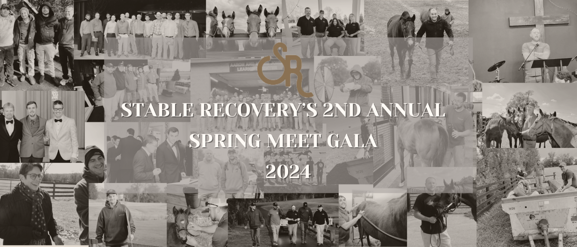 Stable Recovery | WeDo Charity Auctions