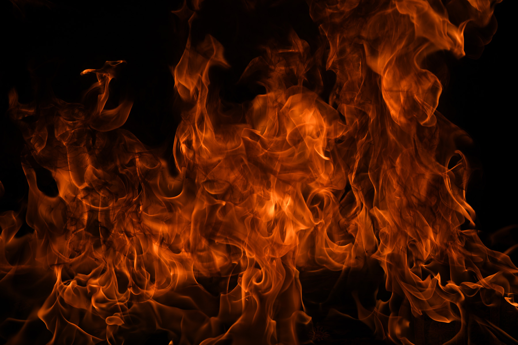 Yellow Ribbon Ribfest | Secure Donation