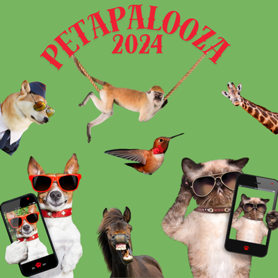 Petapalooza 2024 | Register Now | Murad Auctions