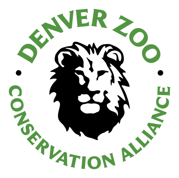 Denver Zoo Flock Party 2025 | Bolder Events