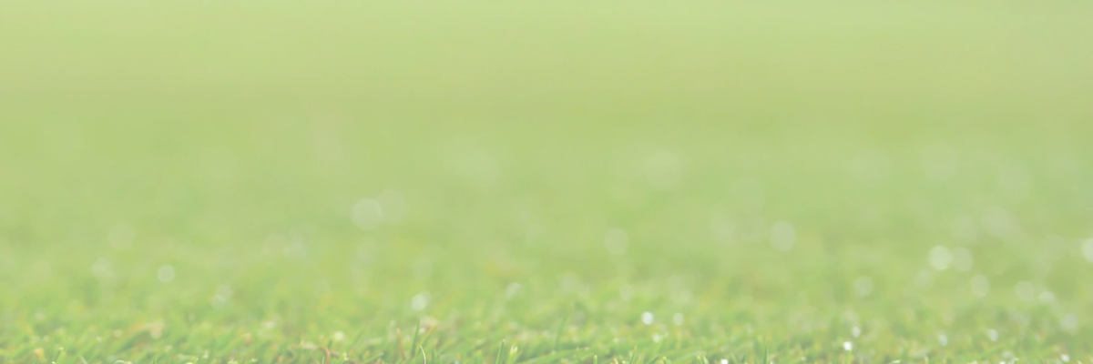 Special Strides Golf Outing | WeDo Charity Auctions