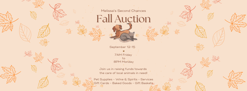 Fall Auction | ClickBid Mobile Bidding